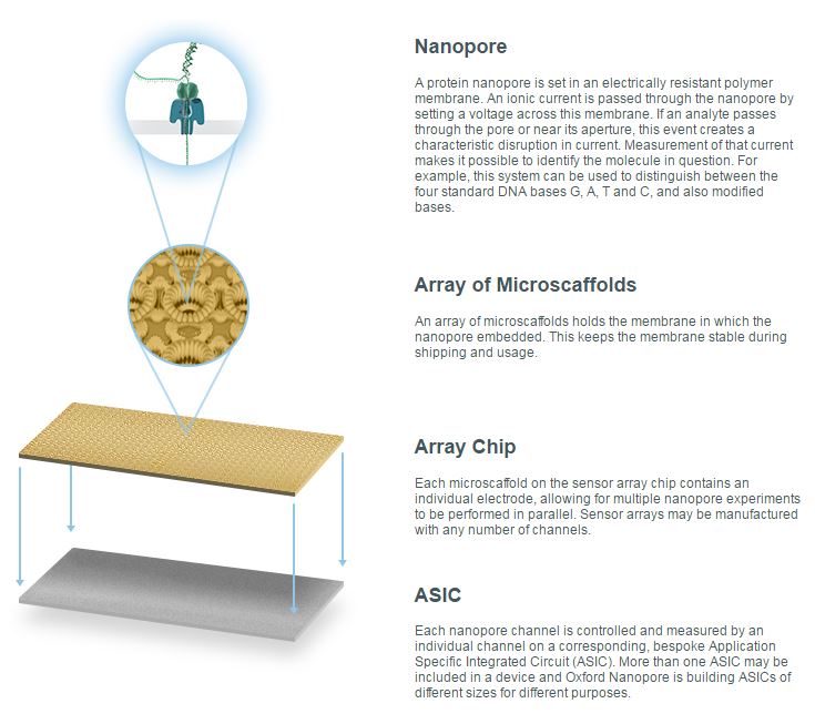 Nanopore Sensing How It Works